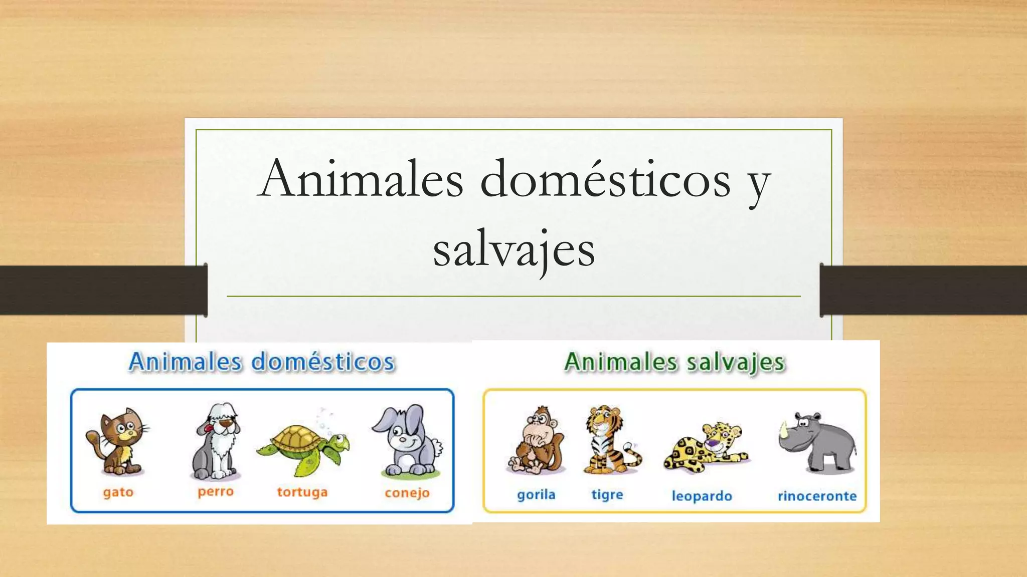 Animales domésticos y salvajes | PPTX