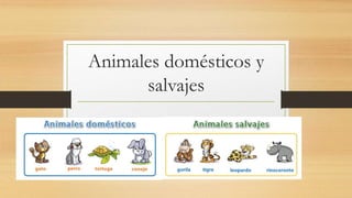 Animales domésticos y salvajes | PPTX