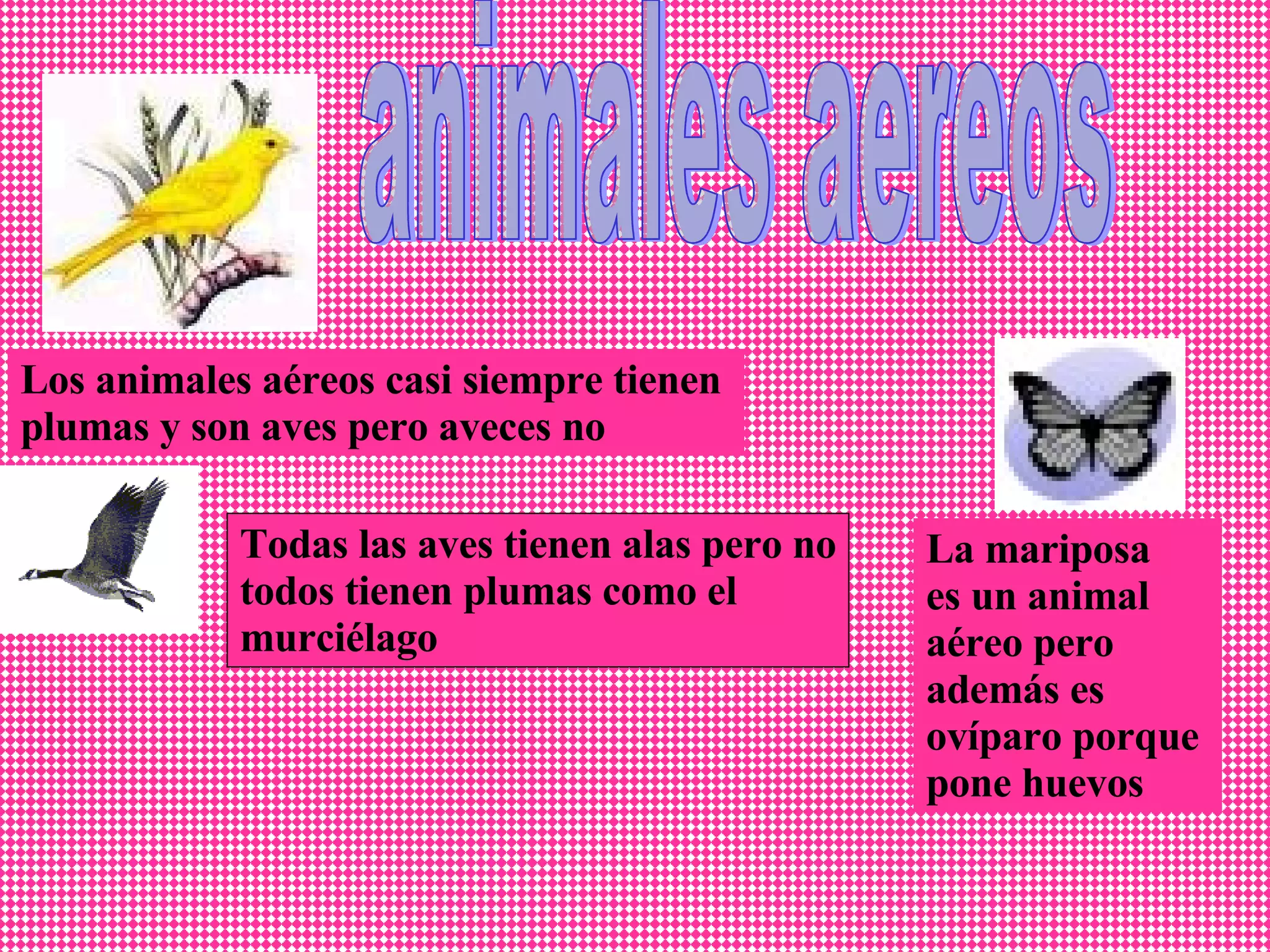 Animales Aereos | PPT