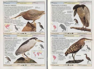 Animales - aves del mundo | PDF
