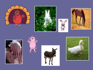 Animales De La Granja 2008 | PPT