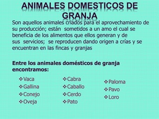 Animales domesticos | PPT