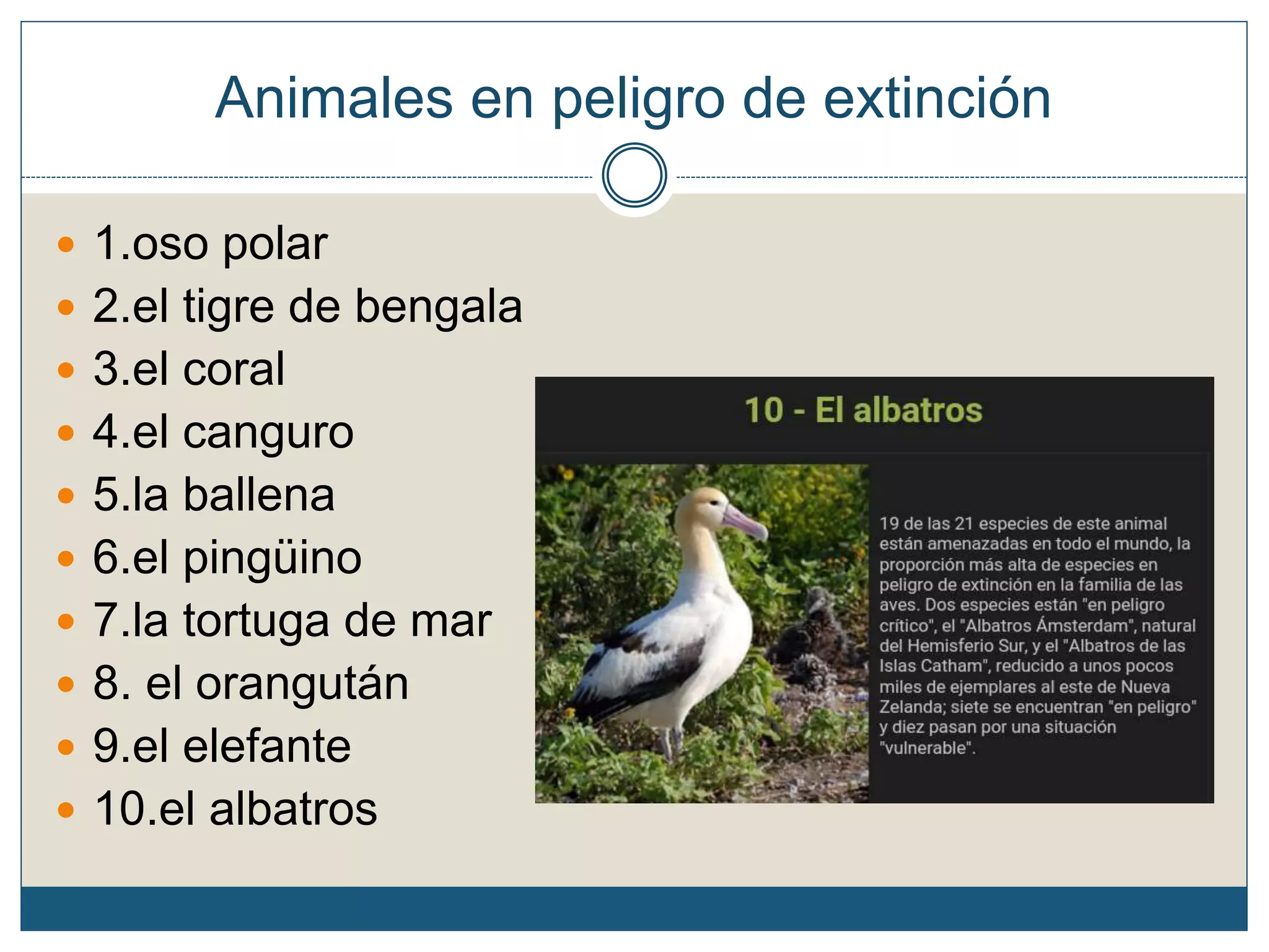 Animales en-peligro-de-extinción-y-el-maltrato | PPT
