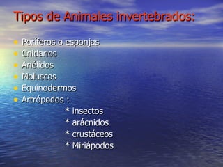 Animales Invertebrados 5 | PPT | Biological Sciences | Science