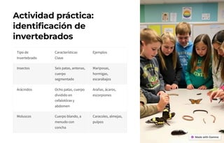 Animales-invertebrados-estructura-y-clasificacion.pdf