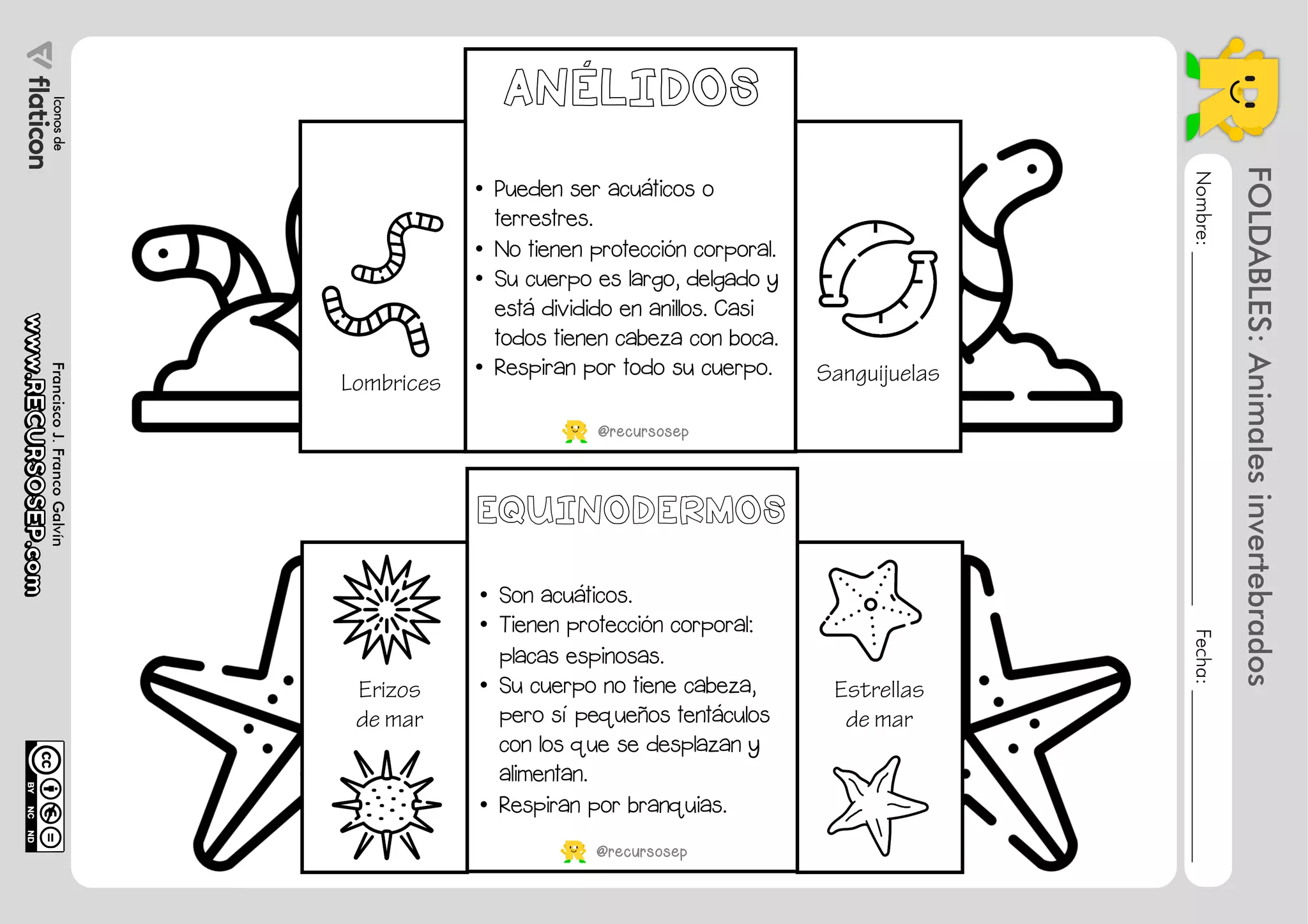 Animales invertebrados | PDF