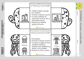 Animales invertebrados | PDF