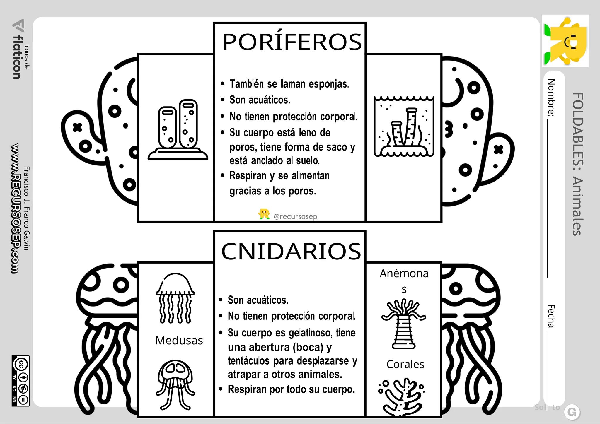 animales-invertebrados-material-plegable-recursosep - byn.docx