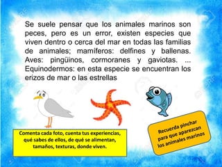 ANIMALES-MARINOS en ppt para etrabajo en | PPTX