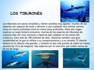 Animales salvajes | PPTX