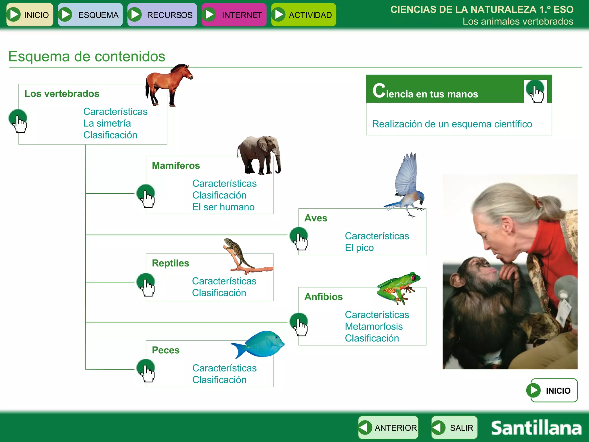 Animales Vertebrados | PPT