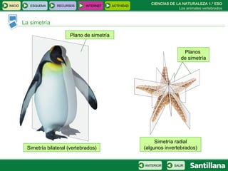 Animales Vertebrados | PPS