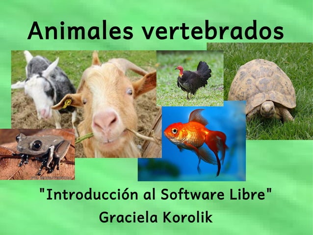 Animales vertebrados | PPT