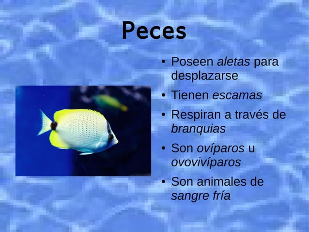 Animales vertebrados | PPT
