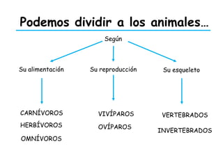 Los animales | PDF