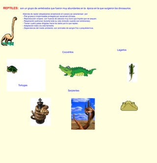 Animales 4 primaria | PPTX
