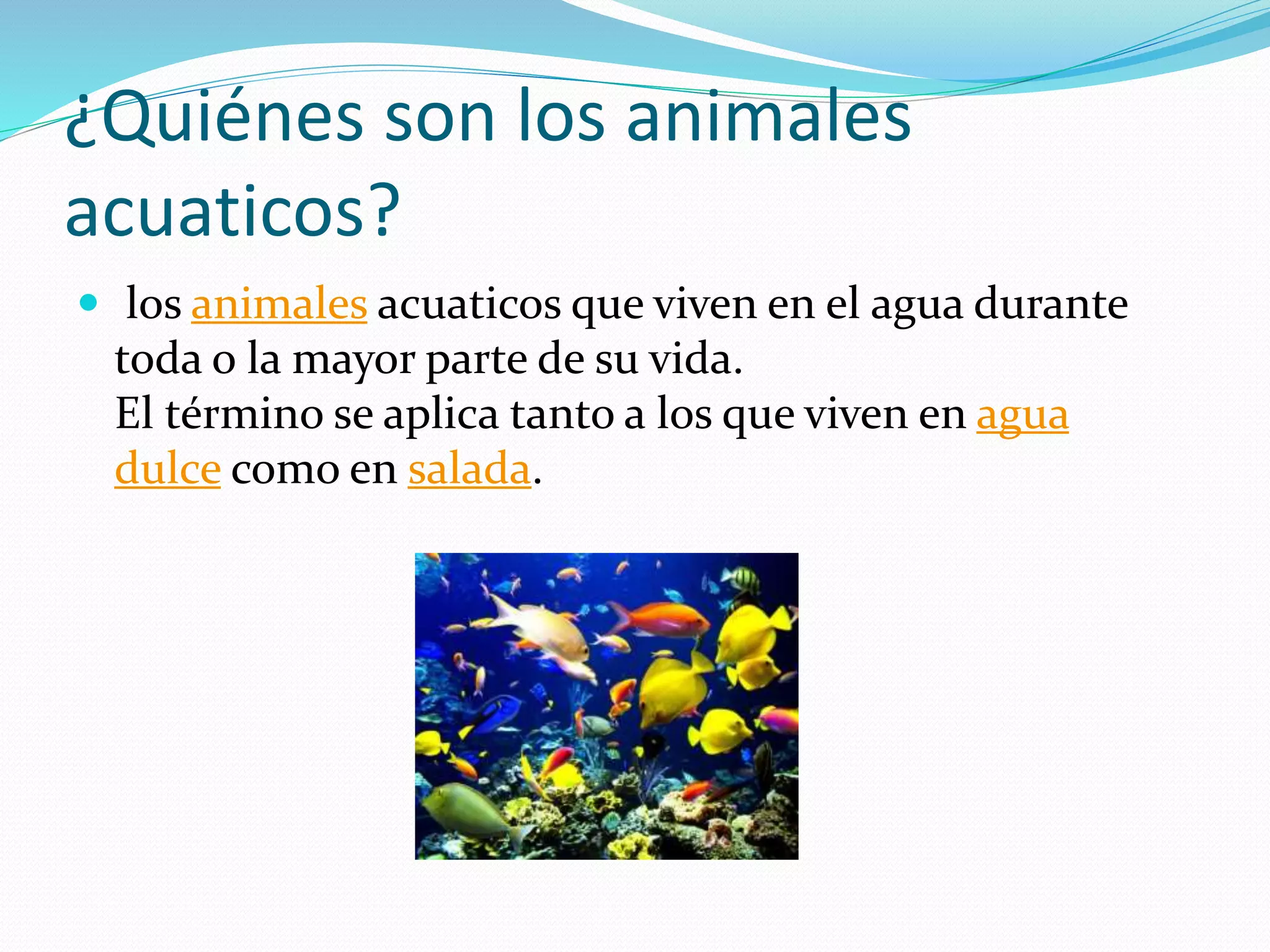 Animales acuaticos | PPTX
