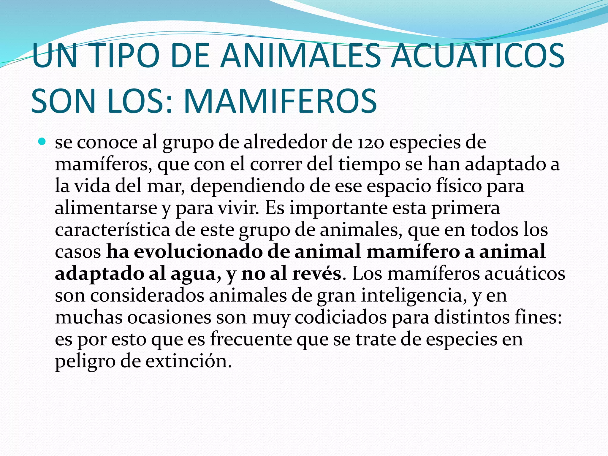 Animales acuaticos | PPTX