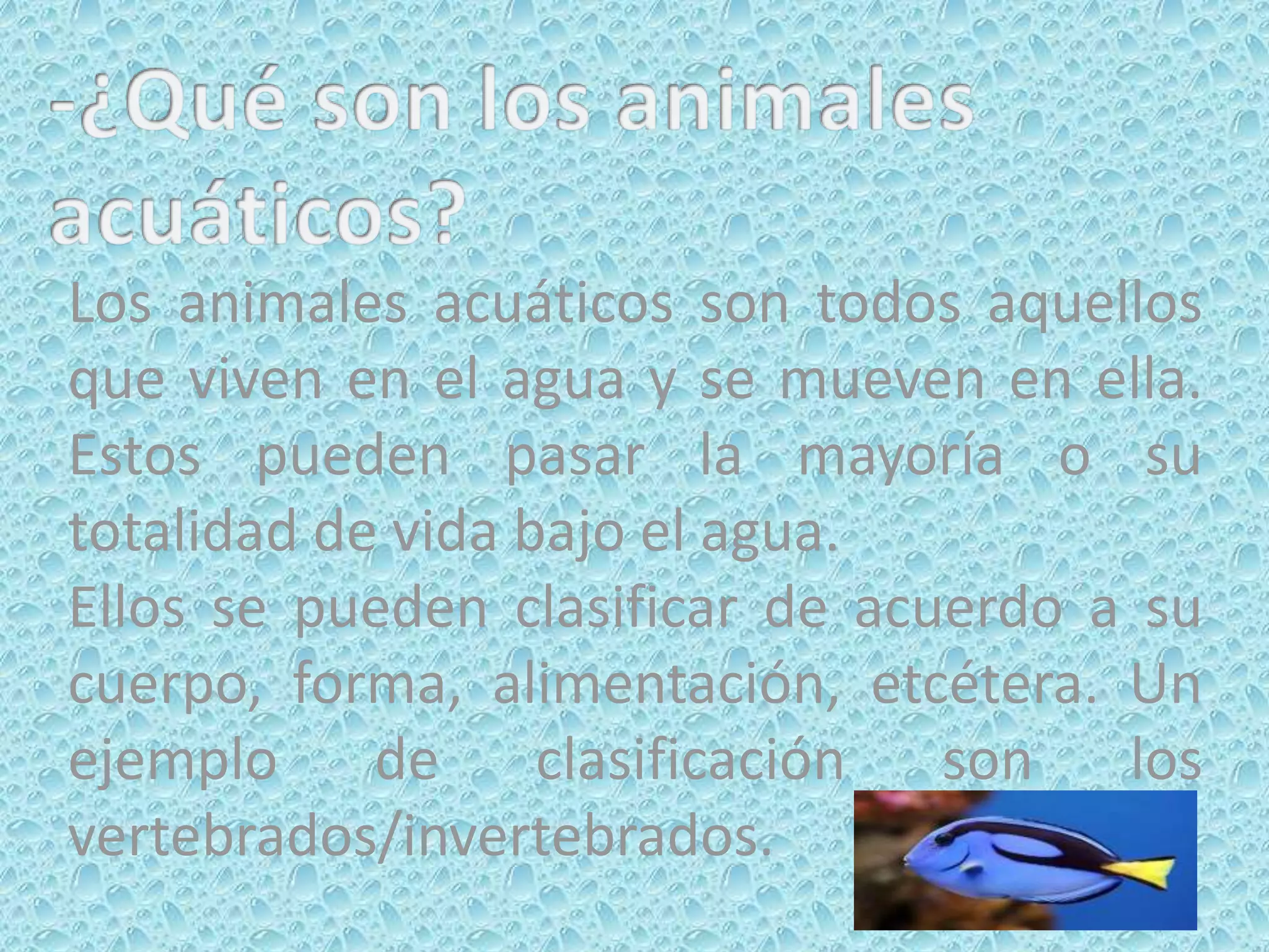 Animales Acuáticos | PPT