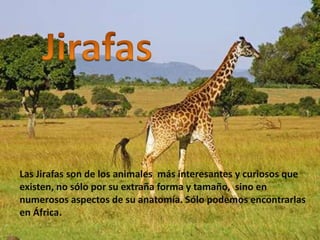 Animales africanos | PPTX