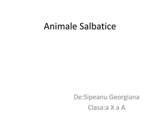 Animale salbatice | PPTX