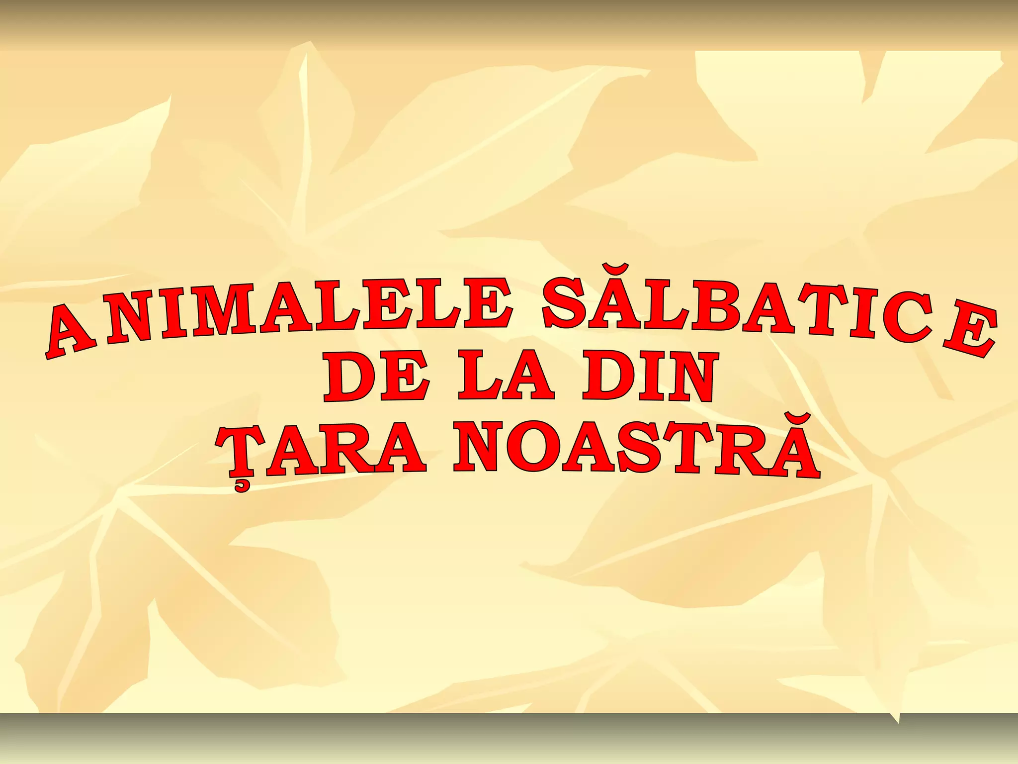 Animale salbatice din romania (1) | PPT