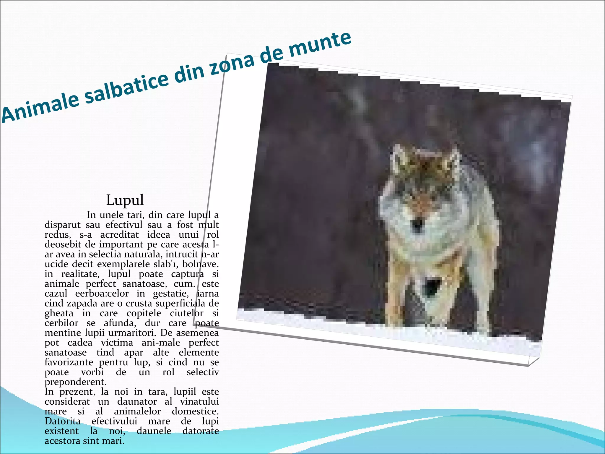 Animale salbatice din tara noastra | PPT