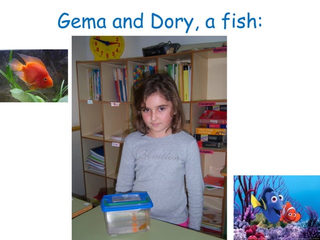 Animals in the classroom | PPT