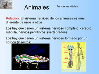 Animales [autoguardado] | PPS