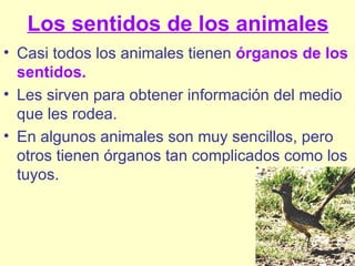 Animales ciclo | PPT