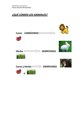 Animales clasifica cion 1º | DOC