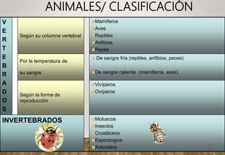 Animales clasificacion | PPT