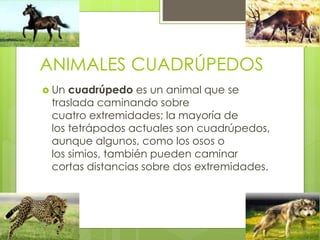 Animales cuadrúpedos y vípedos | PPTX