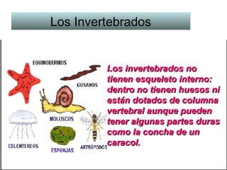 Invertebrados | PPT