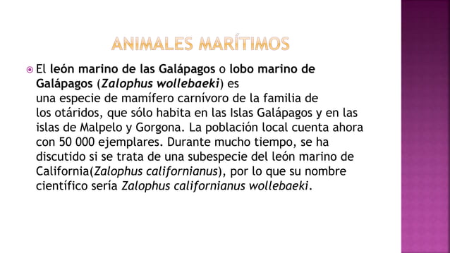 Animales de galapagos | PPT