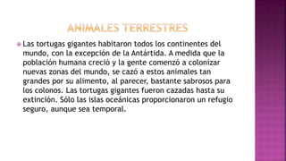 Animales de galapagos | PPT
