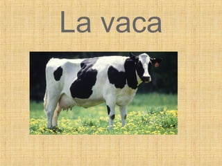 Animales de granja | PPT