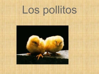 Animales de granja | PPT