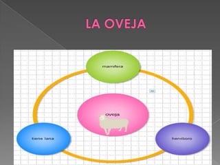 Animales de la granja 2 | PPTX | Zoos & Aquariums | Attractions