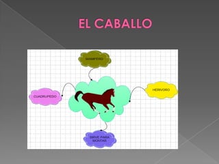 Animales de la granja 2 | PPTX | Zoos & Aquariums | Attractions