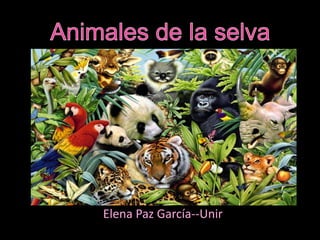 Animales de la selva | PPT