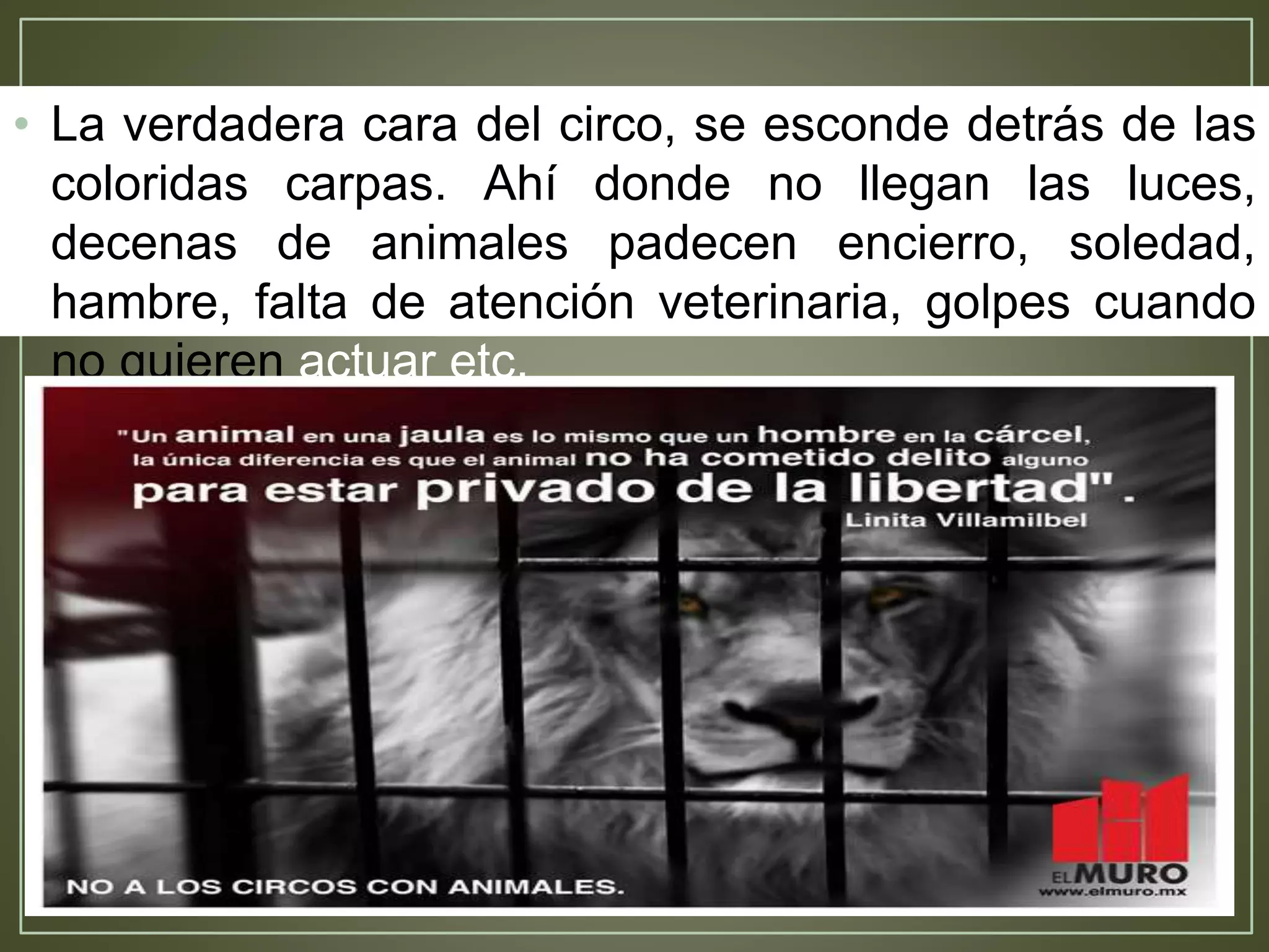 Animales del circo | PPTX