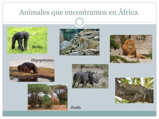 Animales del mundo | PDF