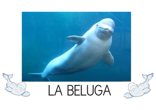 LISTADO DE ANIMALES QUE VIVEN DEL POLO NORTE.pdf