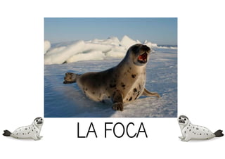 LISTADO DE ANIMALES QUE VIVEN DEL POLO NORTE.pdf