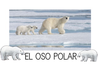 LISTADO DE ANIMALES QUE VIVEN DEL POLO NORTE.pdf