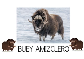 LISTADO DE ANIMALES QUE VIVEN DEL POLO NORTE.pdf