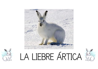 LISTADO DE ANIMALES QUE VIVEN DEL POLO NORTE.pdf