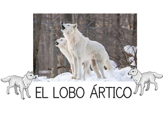 LISTADO DE ANIMALES QUE VIVEN DEL POLO NORTE.pdf