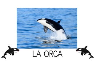 LISTADO DE ANIMALES QUE VIVEN DEL POLO NORTE.pdf